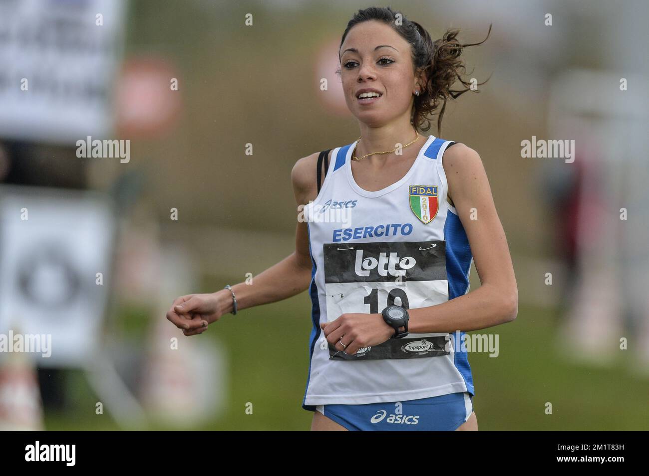Veronica inglese hi-res stock photography and images - Alamy