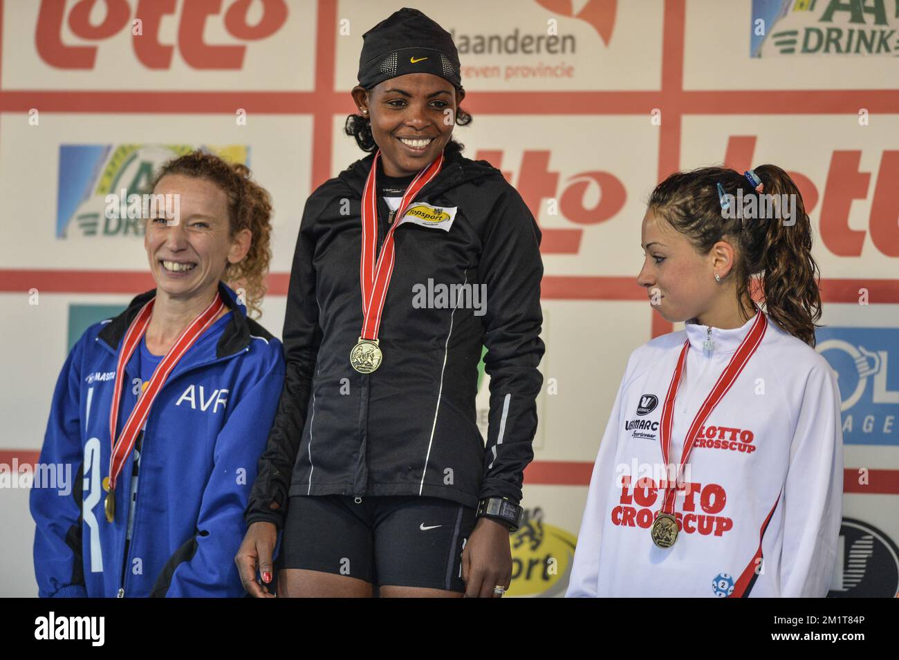 Veronica inglese hi-res stock photography and images - Alamy