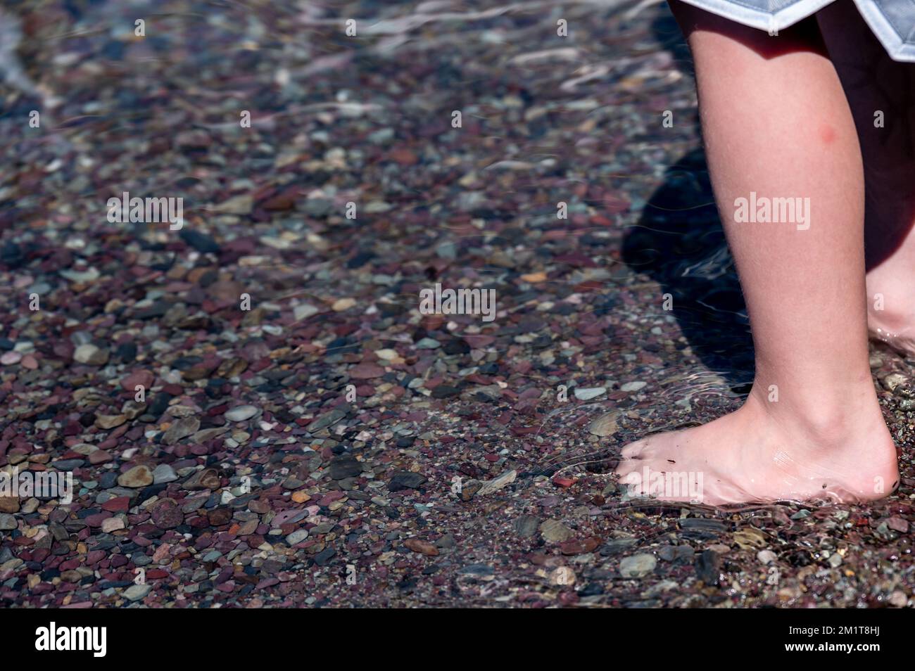 Barefoot toes in Rainbow multi-colored rocks in Avalanche creek leading ...