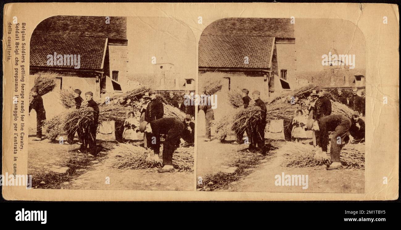 Belgian soldiers getting forage ready for the cavalry , Soldiers ...