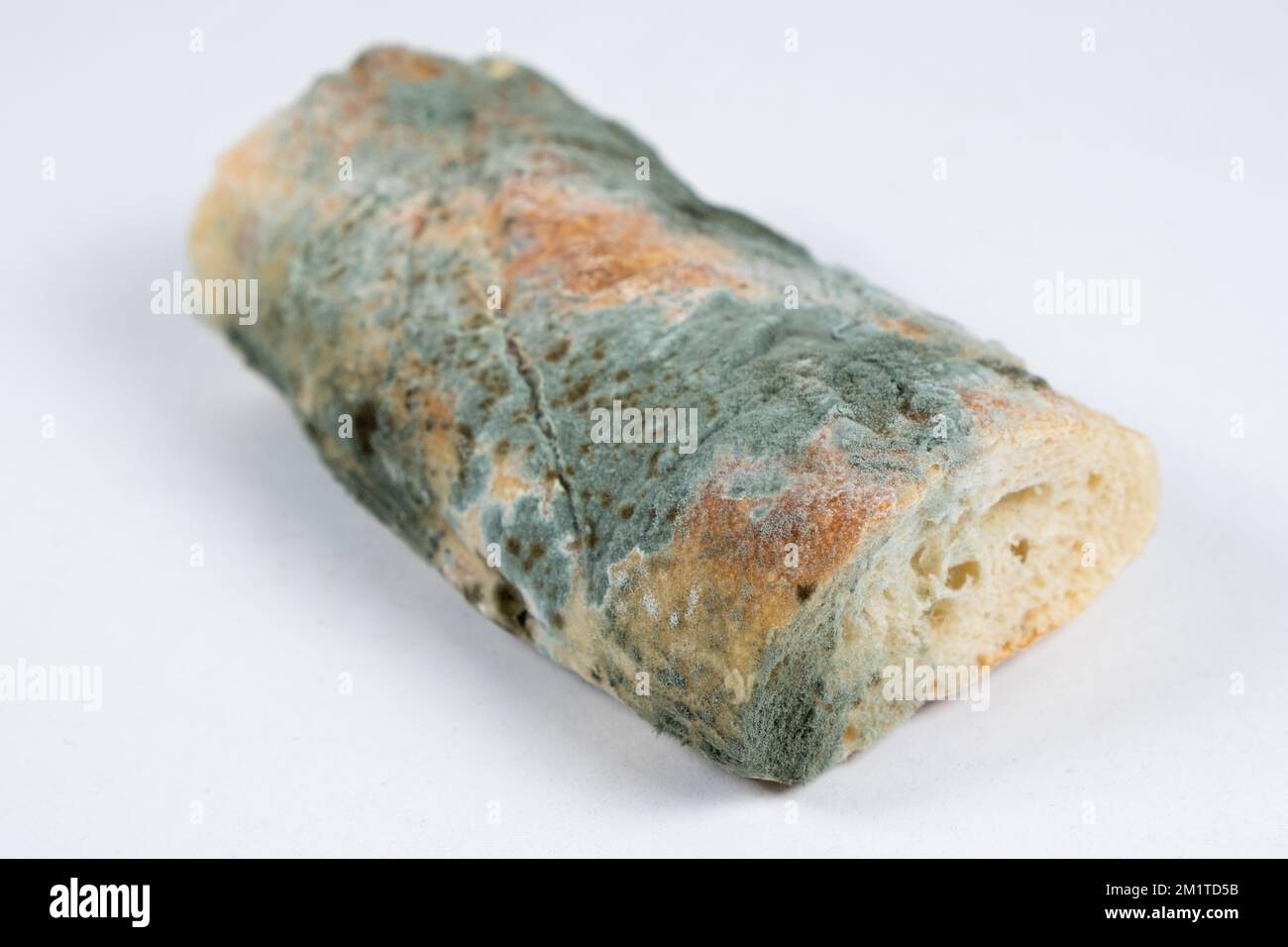 Mold on bread on a white background close-up. The danger of mold, stale ...