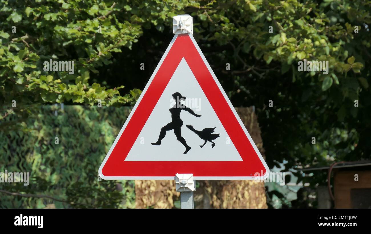 A biting geese warning sign at the street Stock Photo - Alamy