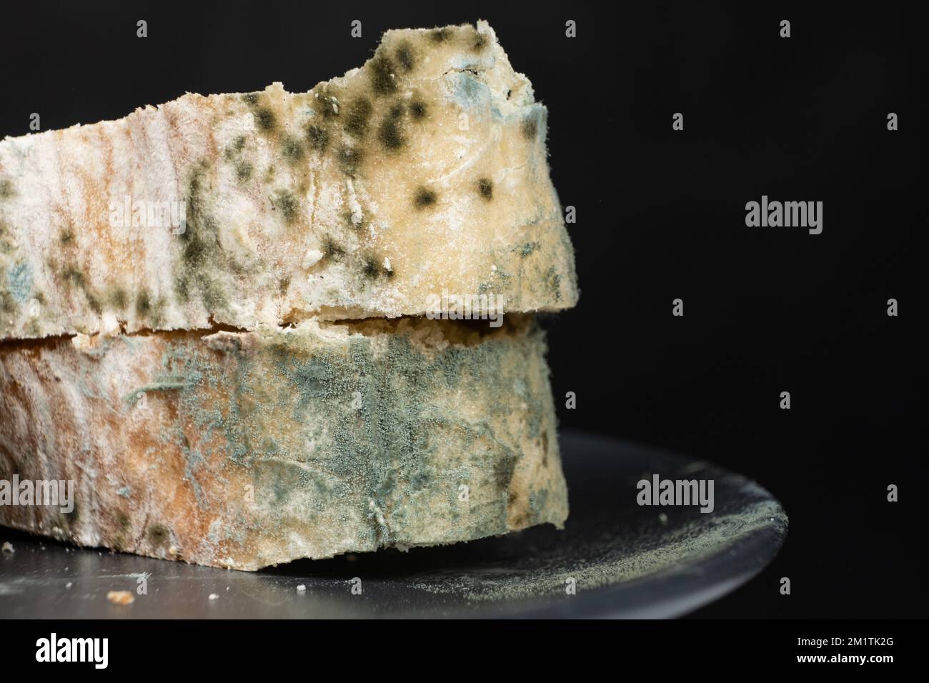 Mold on bread on a black background close-up. The danger of mold, stale ...