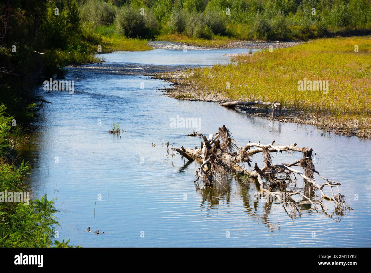 Landscape of the river park of Taro Parma Stock Photo - Alamy