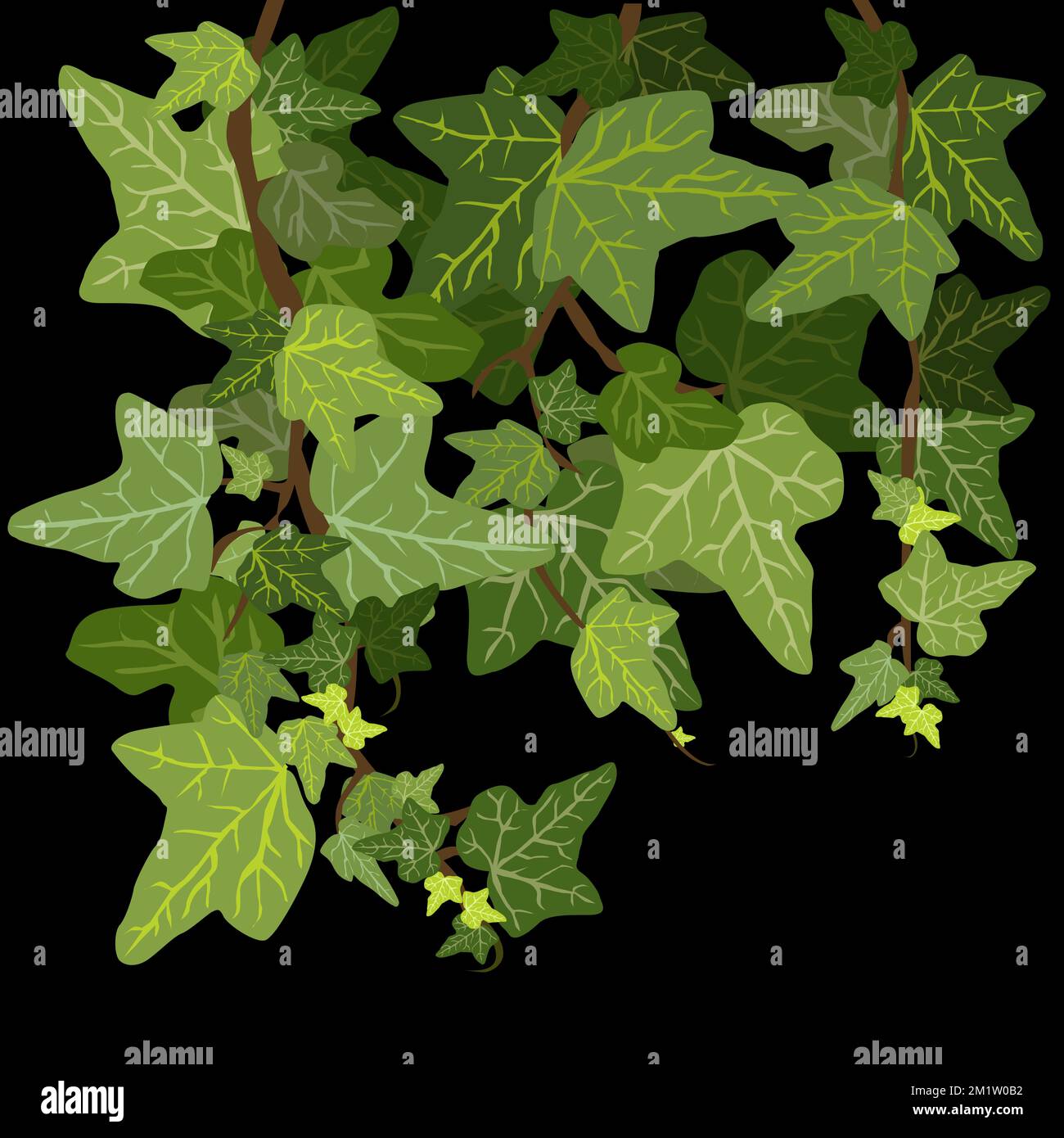 Black to green Stock Vector Images - Alamy Black to green Stock Vector Images - Alamy