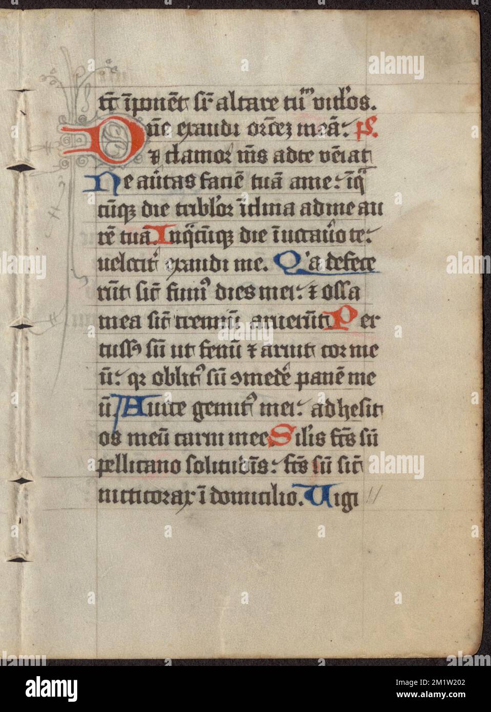 Bifolium from a 15th-century breviary : in Latin ,. Medieval and Early ...