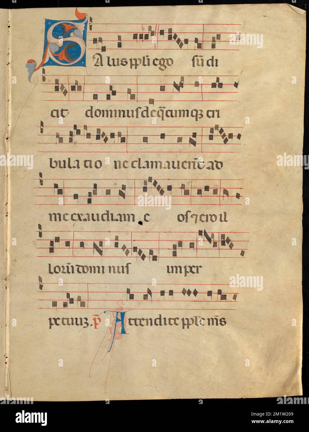 Bifolium from a ca. 15th-century gradual : in Latin ,. Medieval and ...