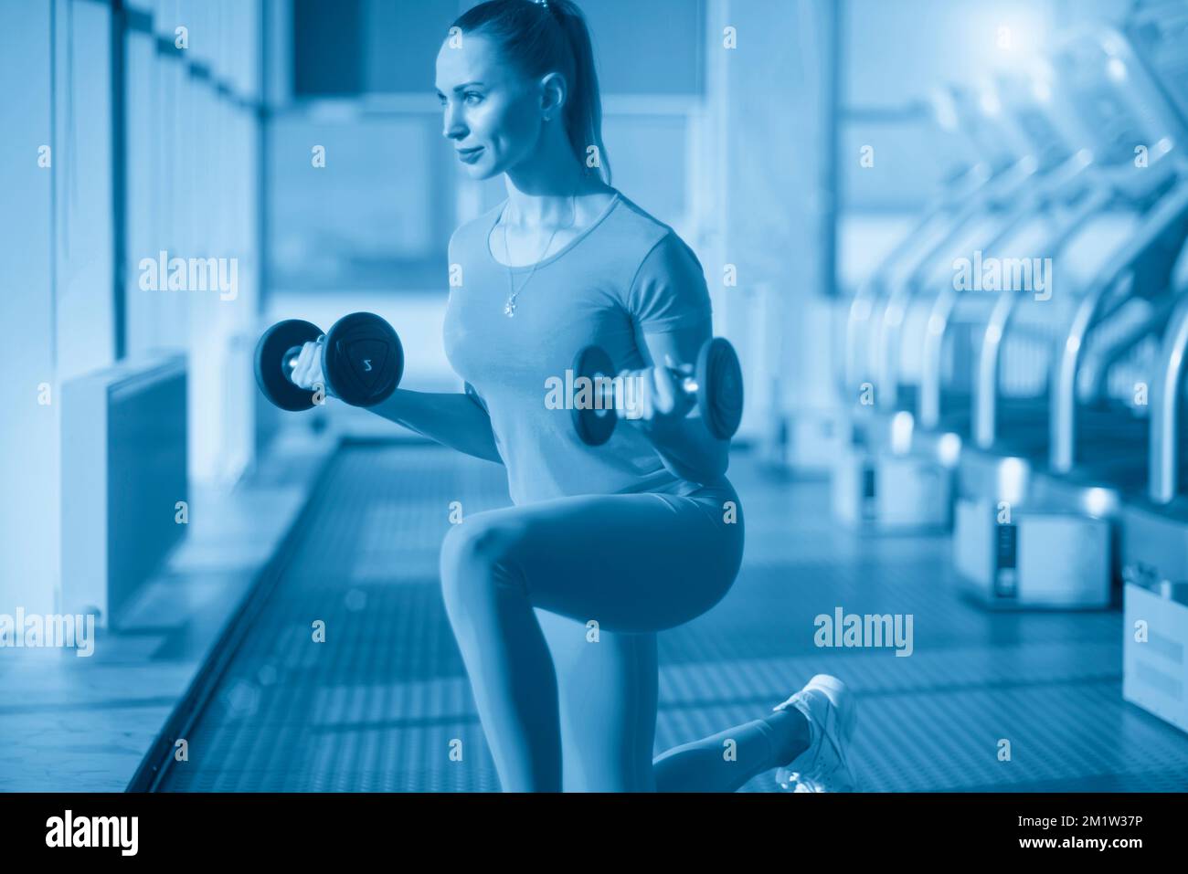 Physically fit pretty woman at the gym exercising with dumbbells to ...