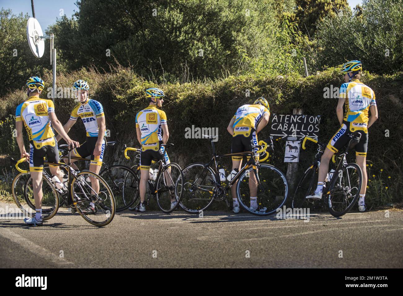 Illustration shows riders at training during a stage of cyling team ...