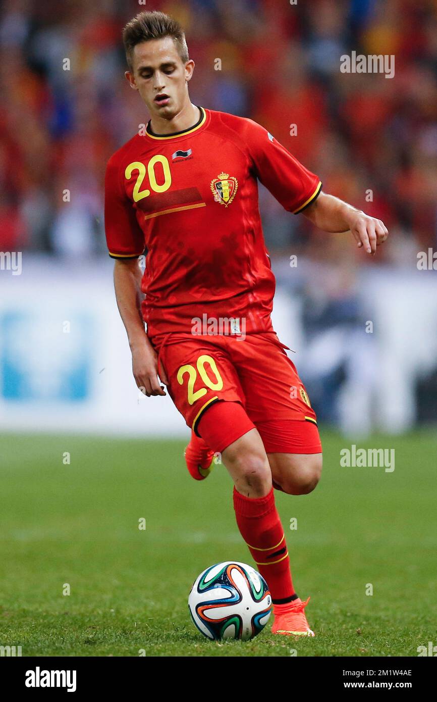 Belgium's Adnan Januzaj Stock Photo - Alamy