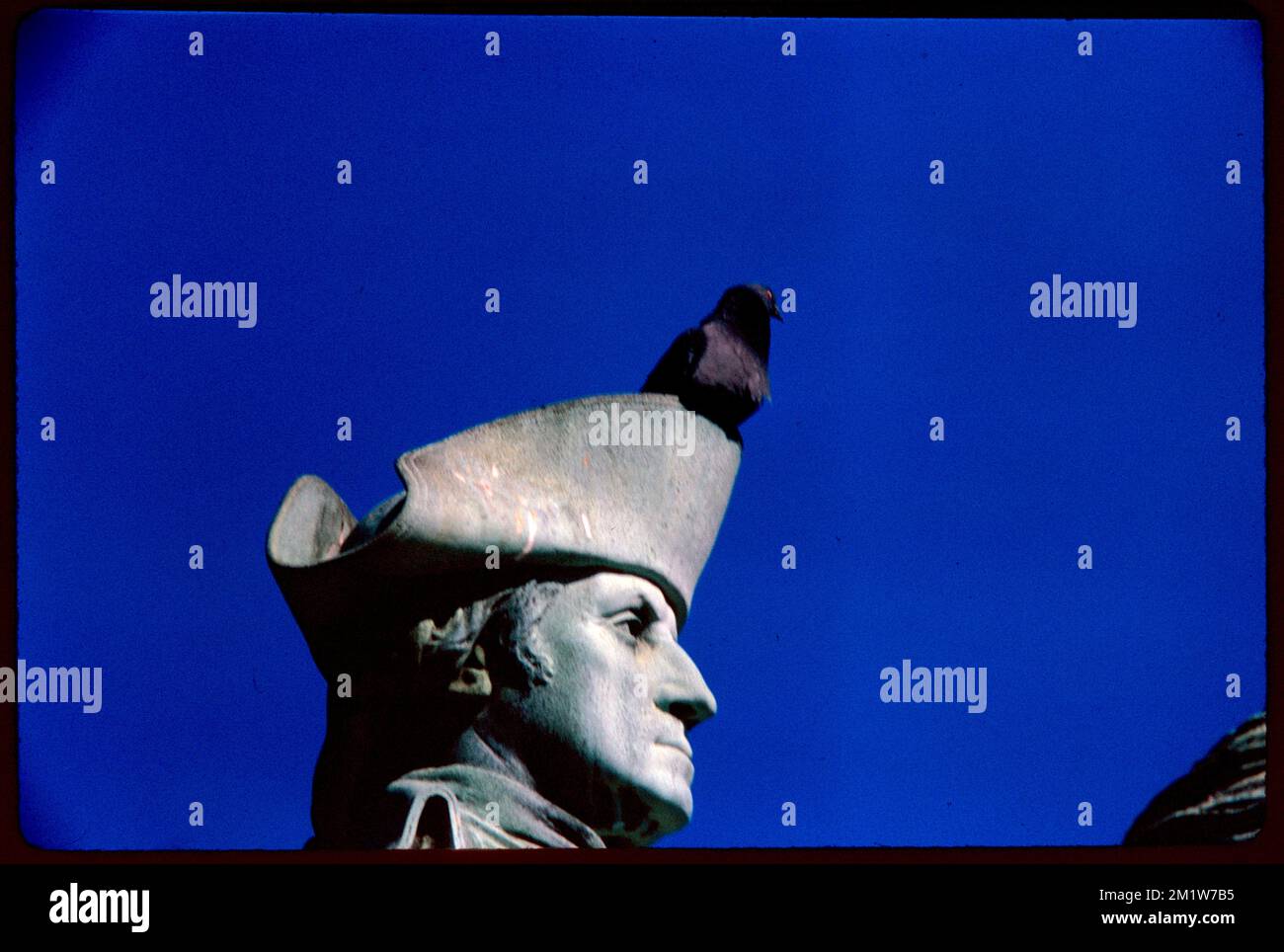 Bird on head of George Washington statue, Boston Public Garden, Boston ...
