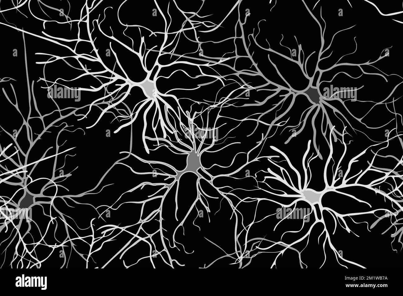 Neuron synapse Black and White Stock Photos & Images - Alamy