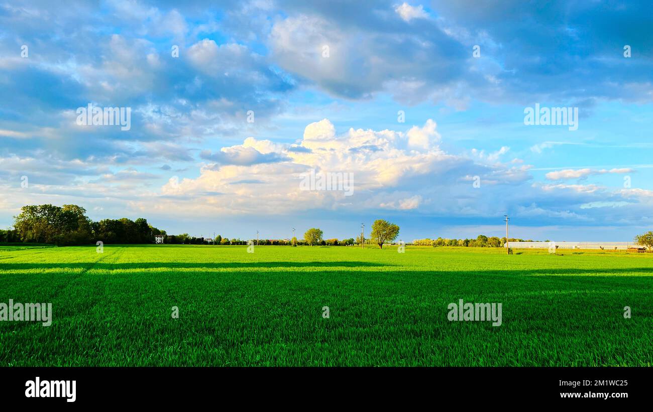 Landscape of the Po Valley cultivated fields Stock Photo - Alamy