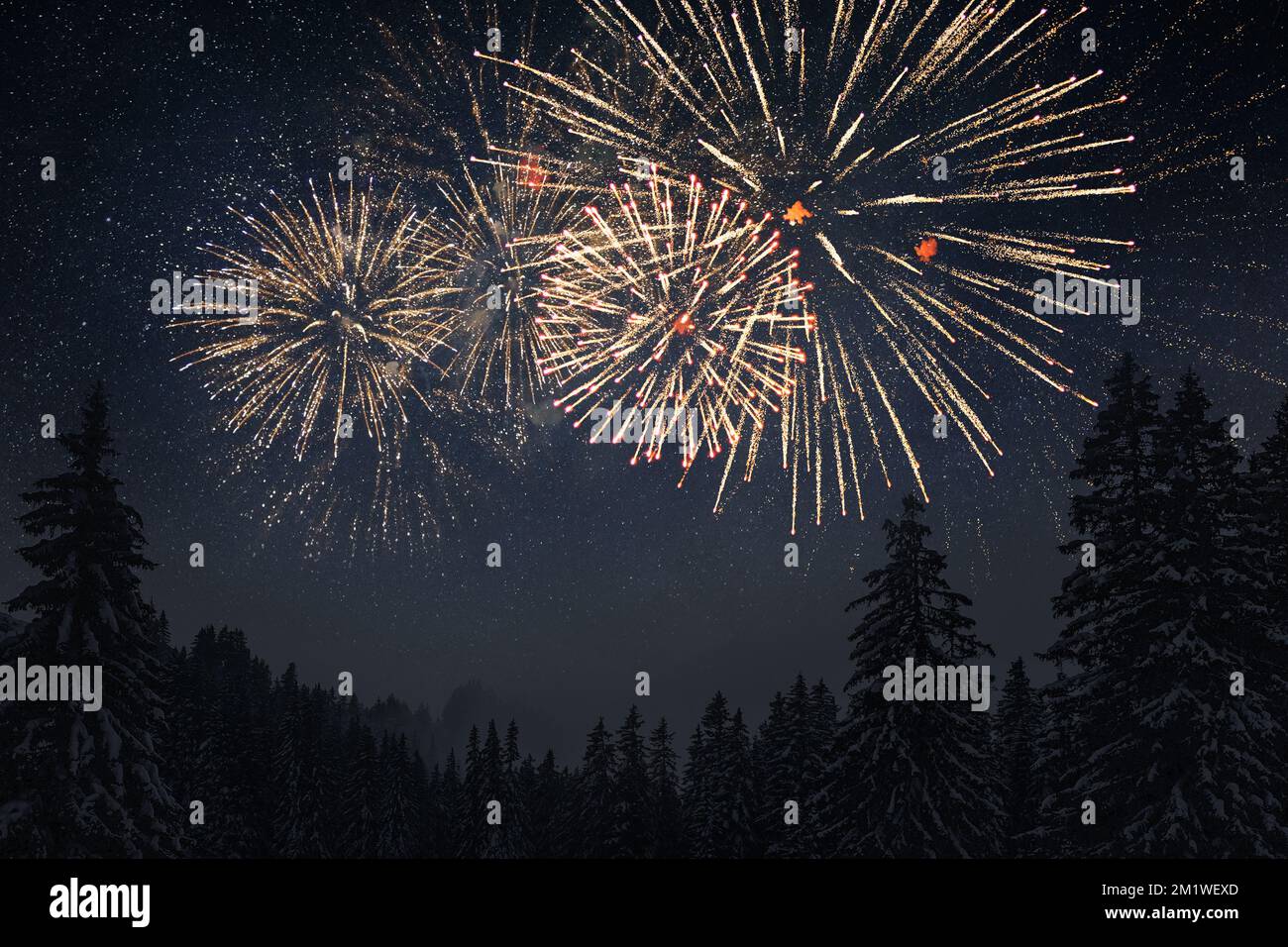 Beautiful fireworks on winter hi-res stock photography and images - Alamy