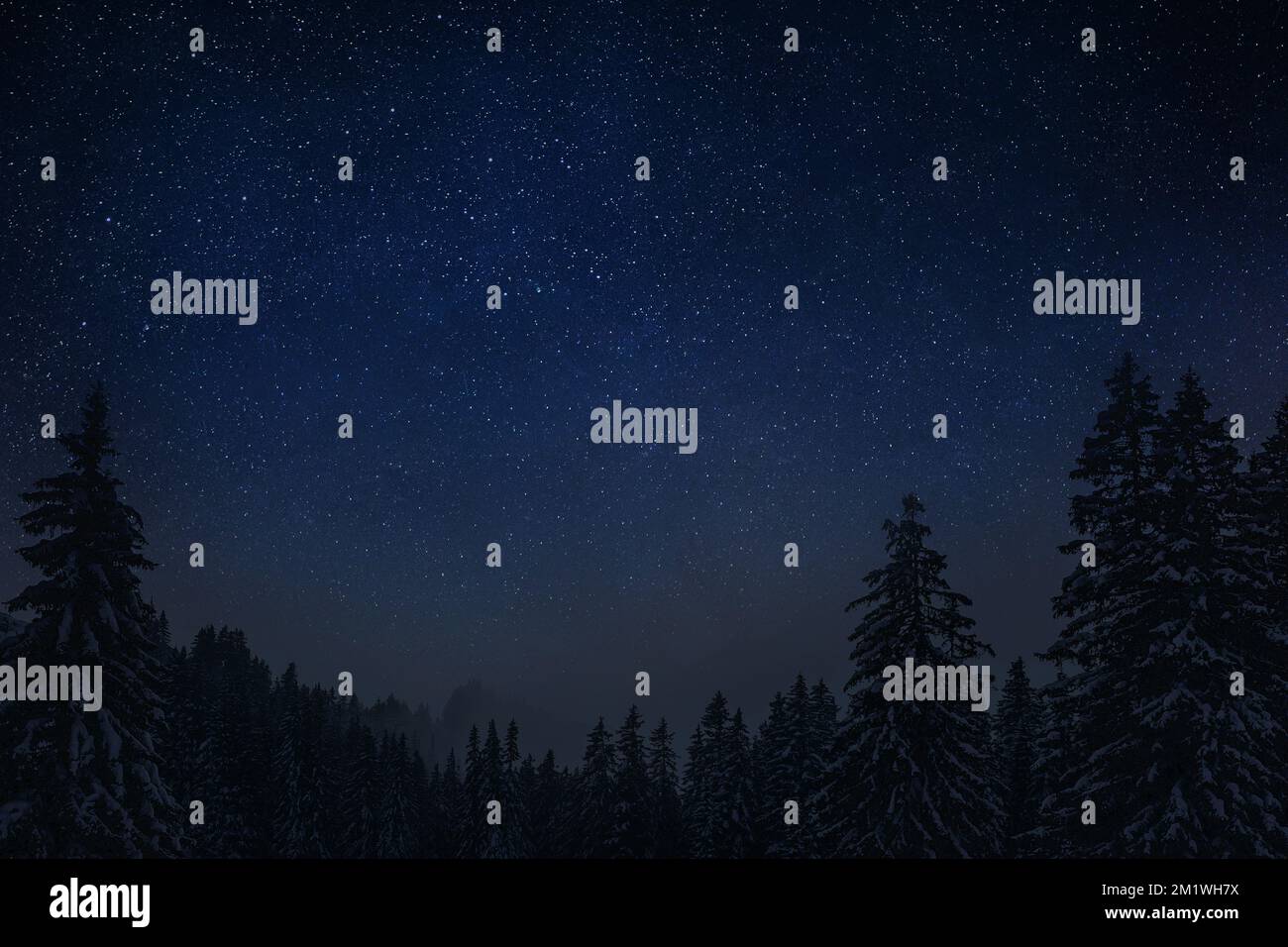 Night clear starry sky in a snowy forest on Christmas Eve Stock Photo ...