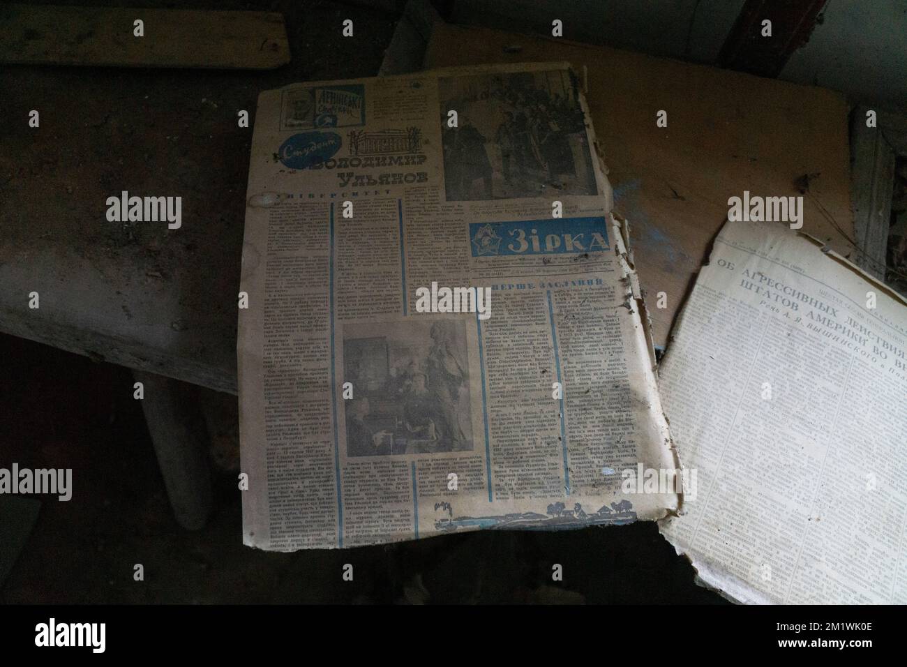 Burned notebook over brown autumn leaves laying on the ground at ...