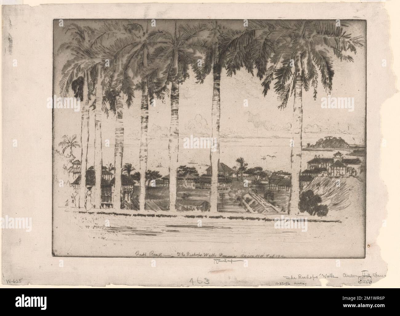 Bishop's Walk, Ancon Hill, Panama , Cities & towns, Palms. Joseph ...