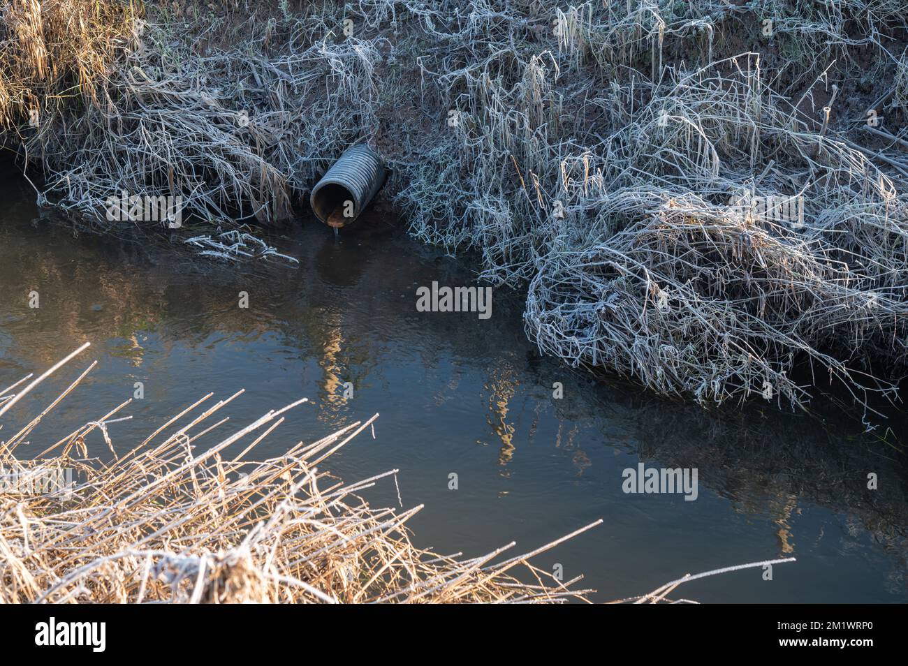 Nutrient Water Pollution