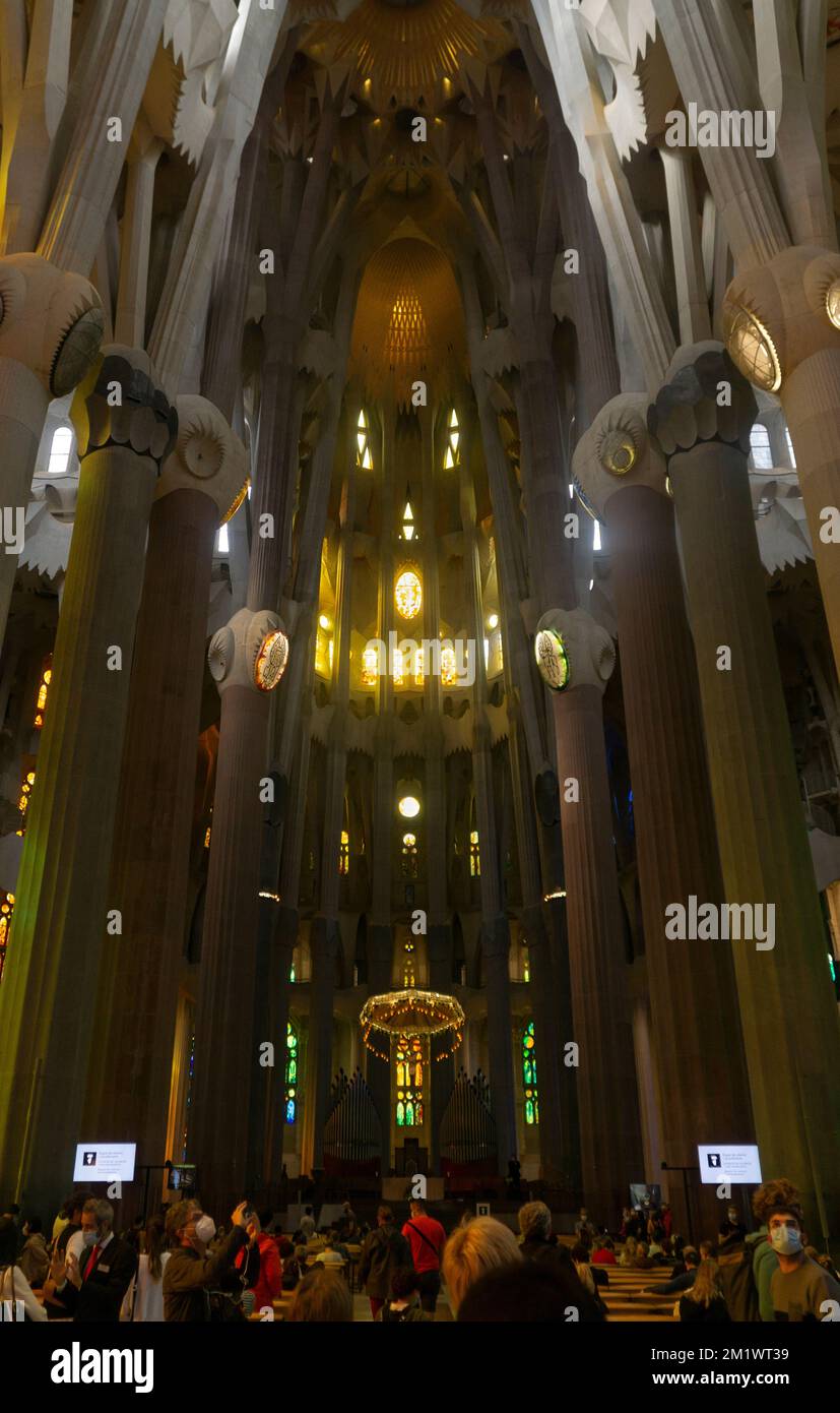 The inmensity of sagrada familia cathedral viewed from inside with ...
