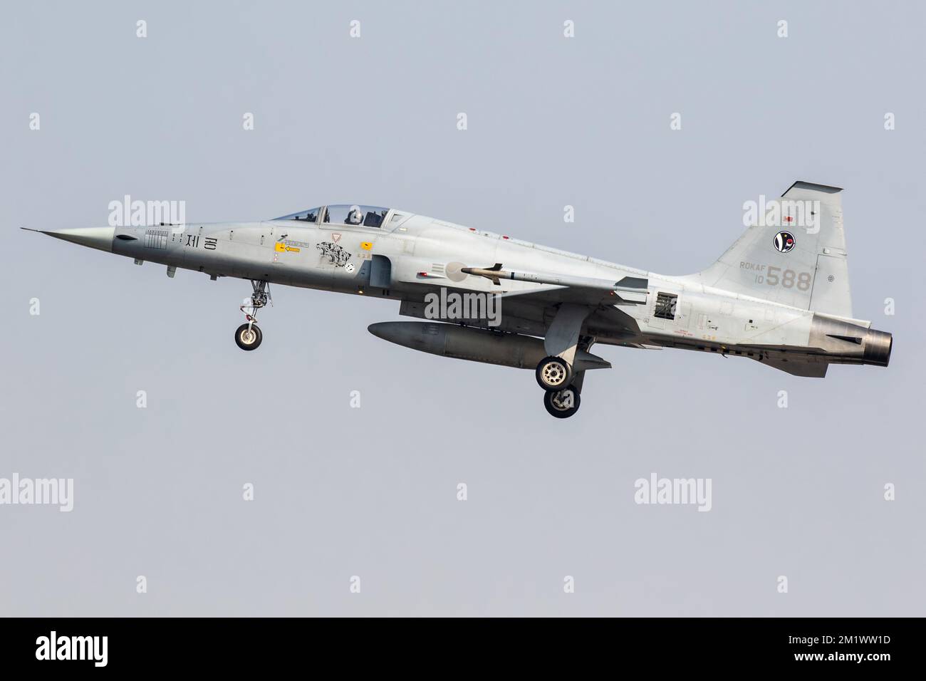 F 5 tiger hi-res stock photography and images - Alamy