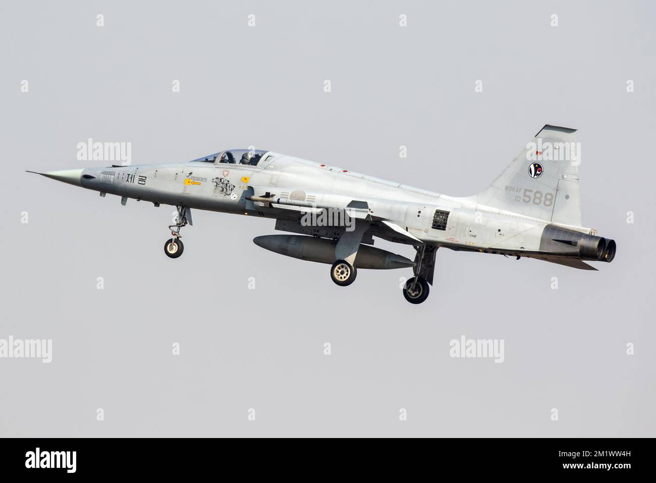 F 5 tiger hi-res stock photography and images - Alamy