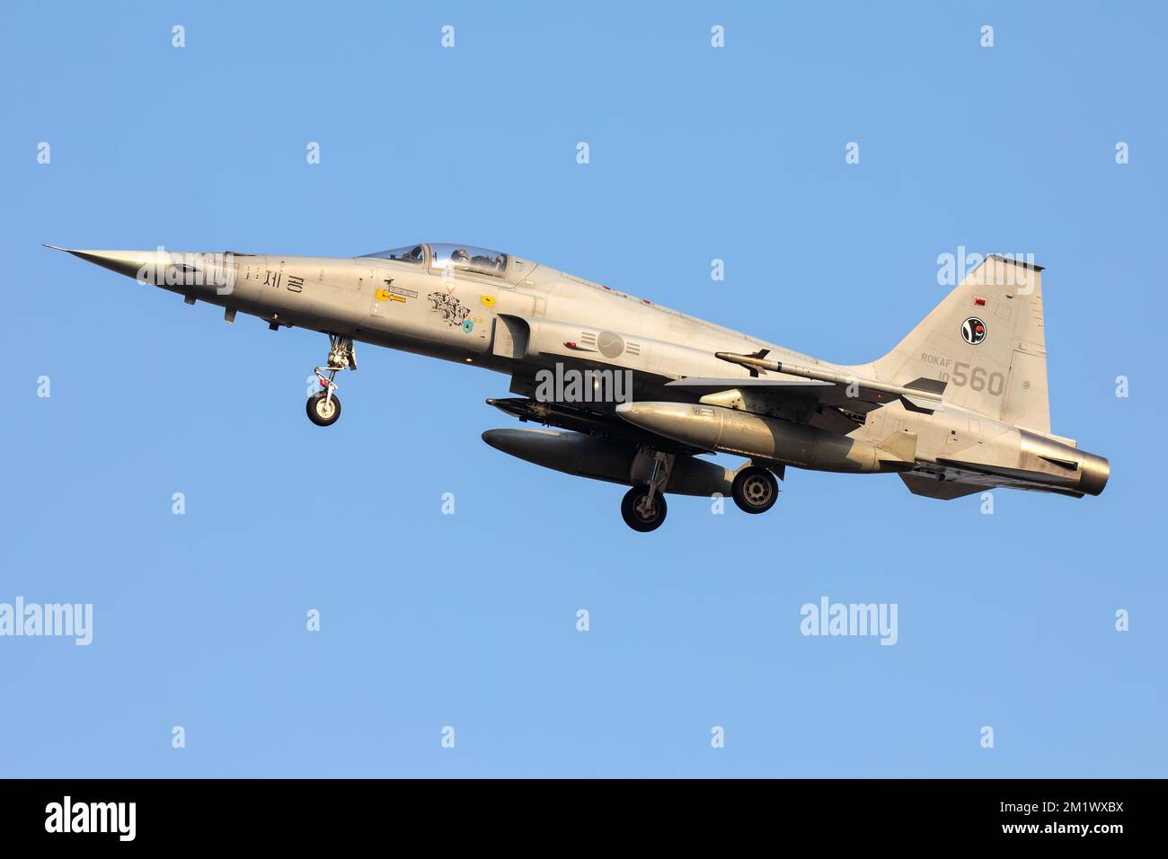 F 5 tiger hi-res stock photography and images - Alamy