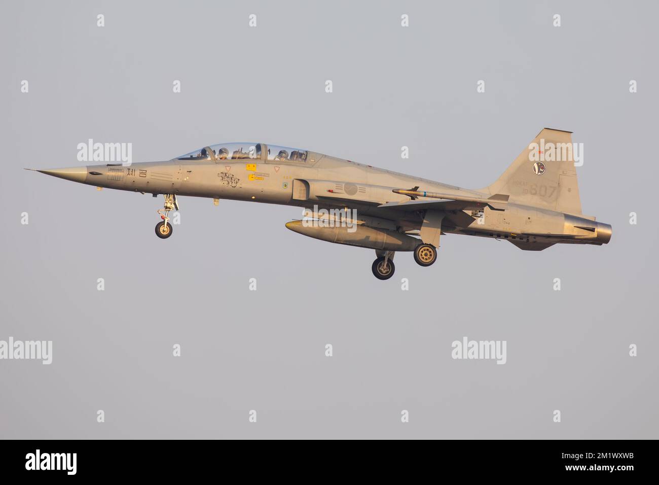F 5f aircraft hi-res stock photography and images - Alamy