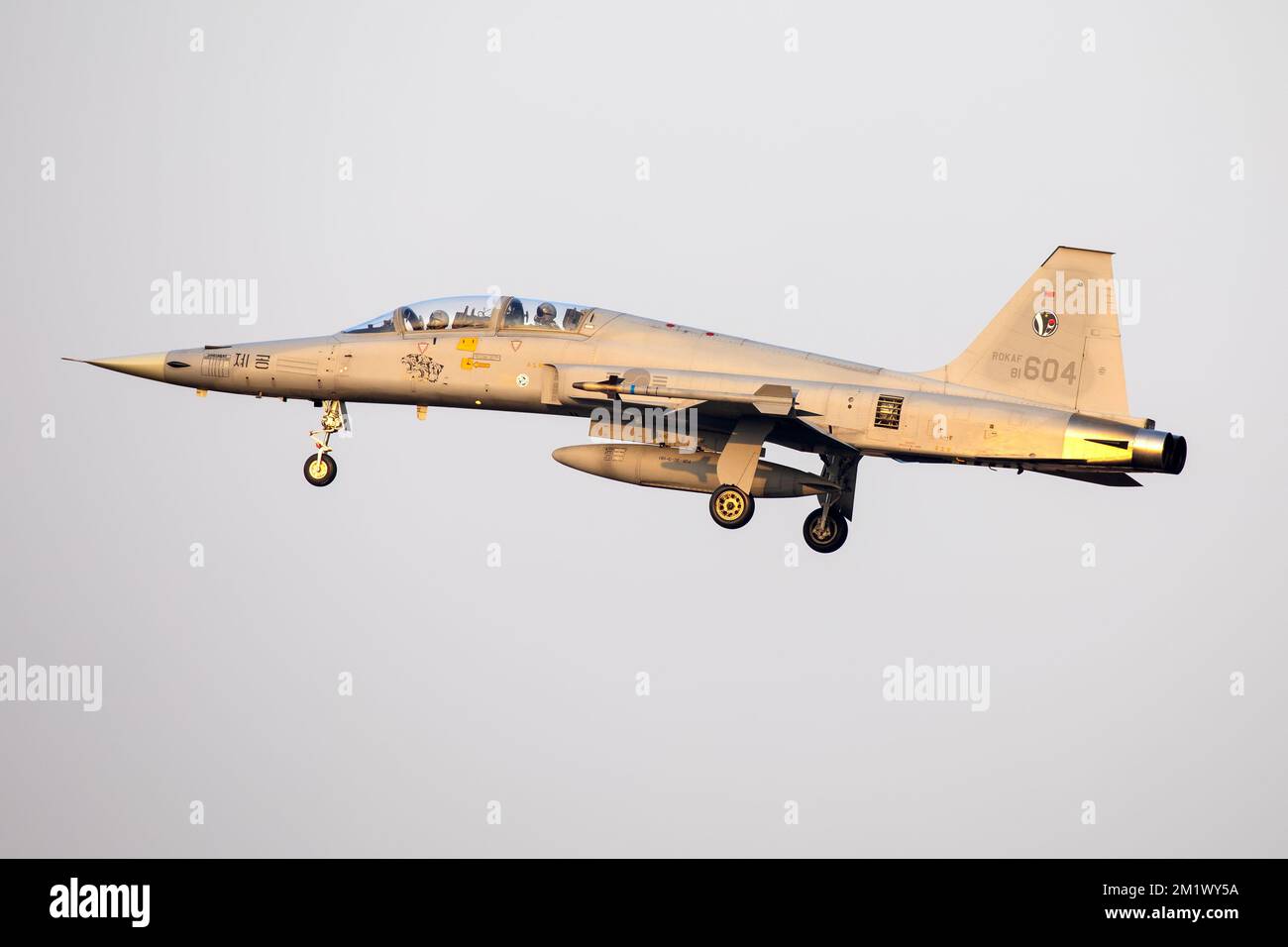 F 5f jet hi-res stock photography and images - Alamy