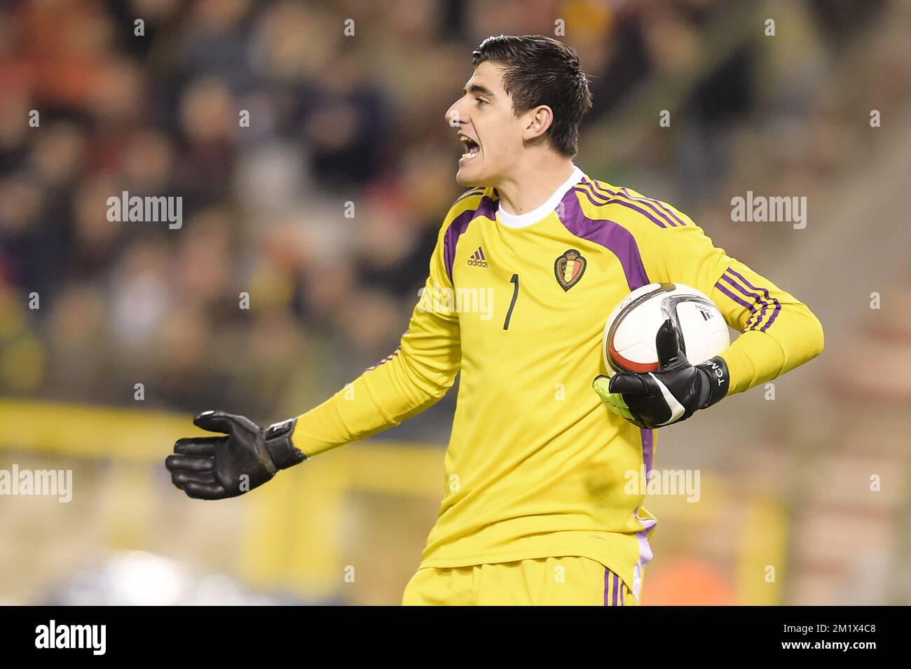 20141112 - BRUSSELS, BELGIUM: Belgium's goalkeeper Thibaut Courtois ...