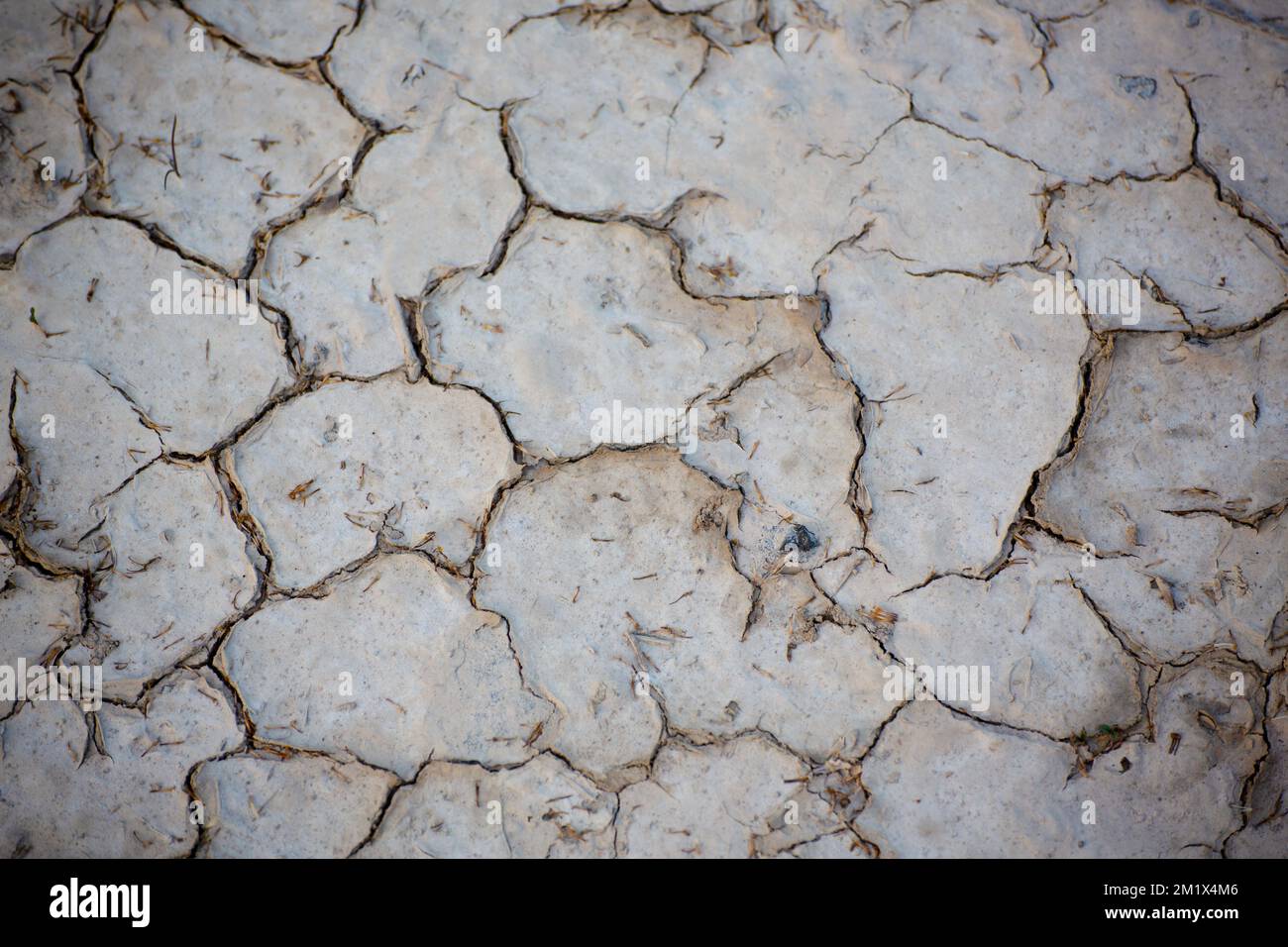 land affected by drought Stock Photo - Alamy