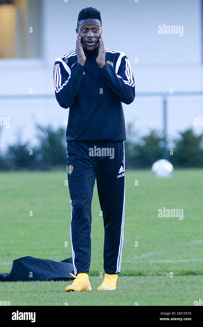20141110 - BRUSSELS, BELGIUM: Belgium's Divock Origi pictured during a ...