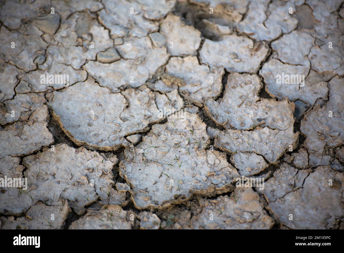 land affected by drought Stock Photo - Alamy
