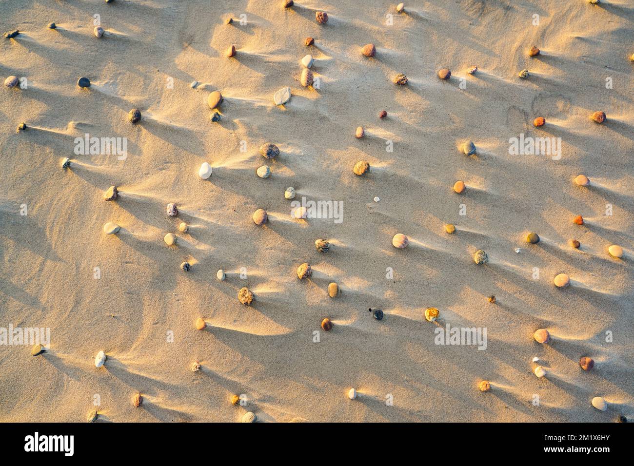 Small colorful pebbles on the beach under afternoon light, an ...