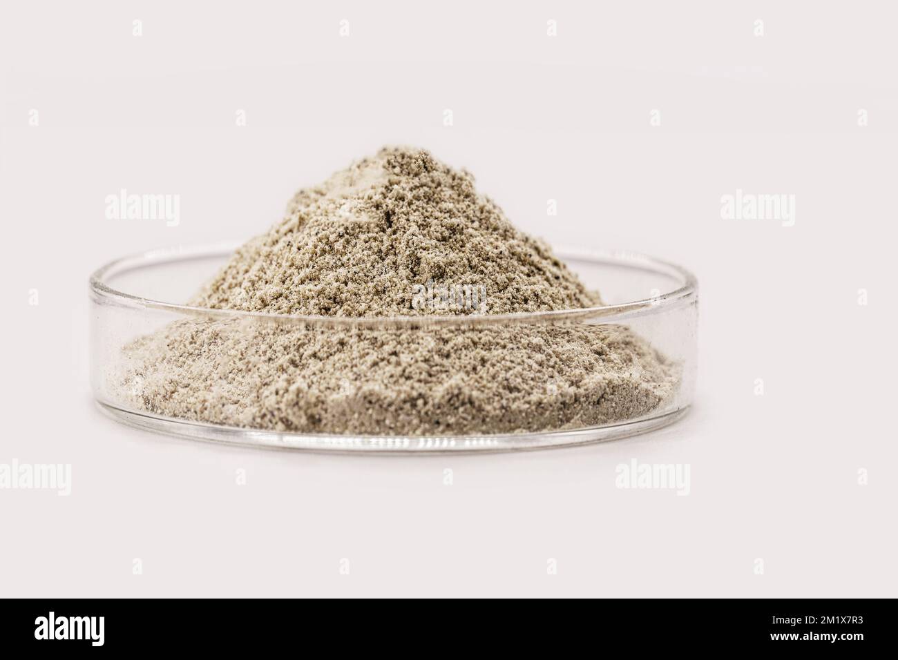 Indoleacetic acid is an auxin, a growth hormone that promotes ...