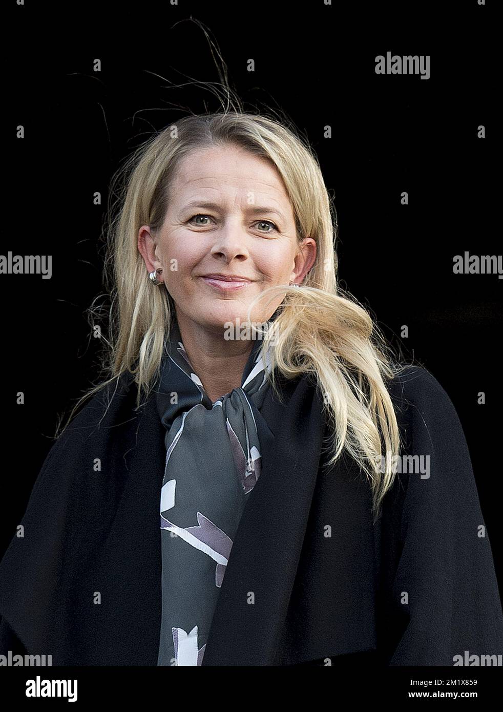 10-12-2014 AMSTERDAM - Princess Mabel Arrive at the Dam palace in ...
