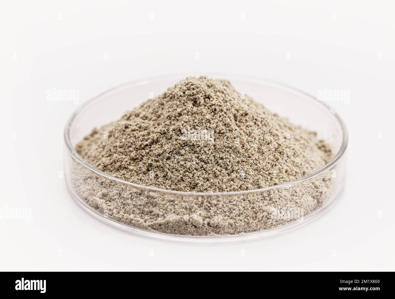 Indoleacetic acid is an auxin, a growth hormone that promotes ...