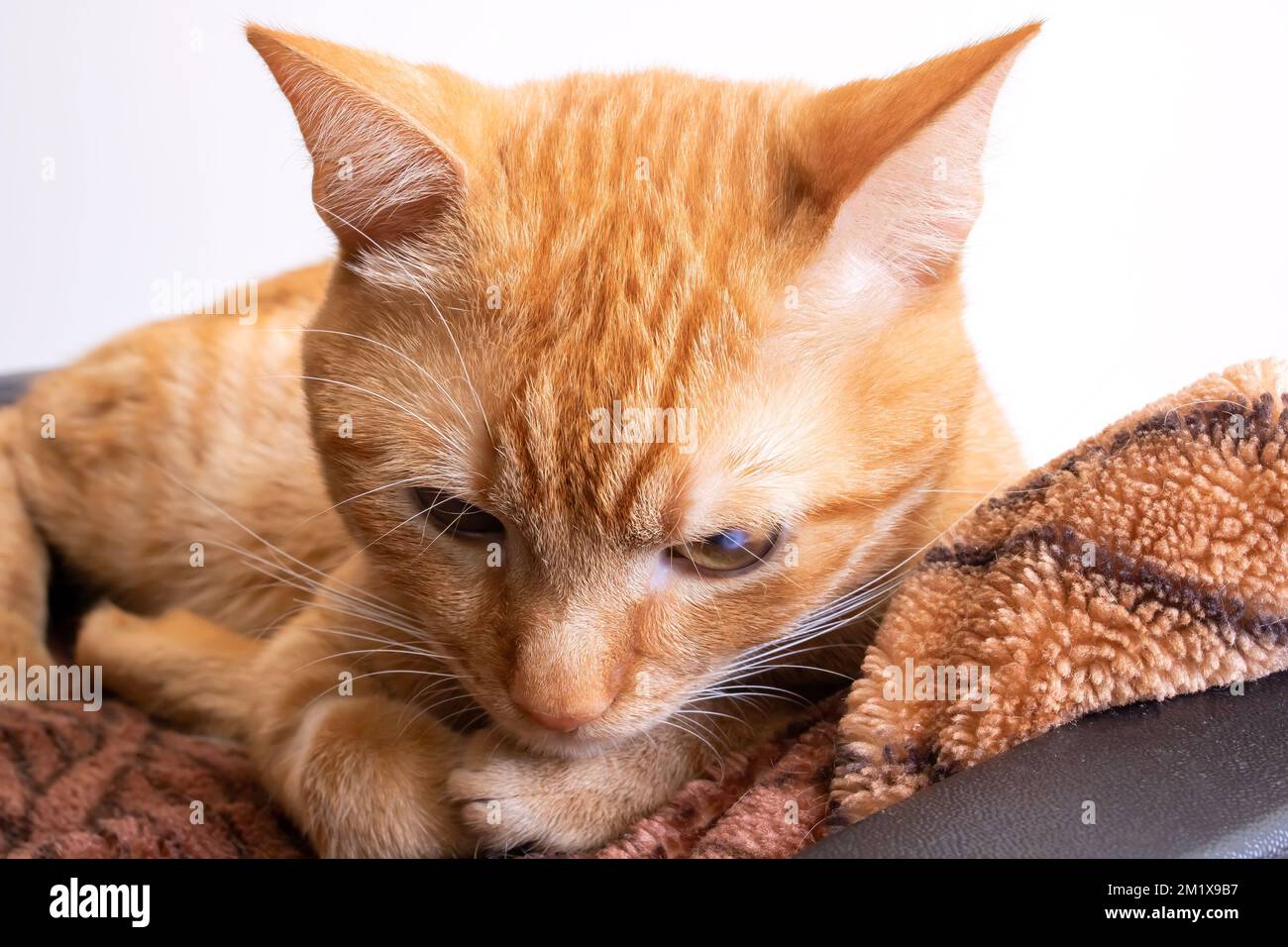 Judgmental hi-res stock photography and images - Alamy