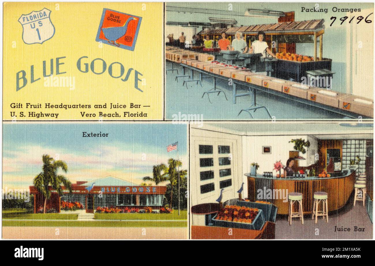 Blue Goose, gift fruit headquarters and juice bar, U.S. highway, Vero ...