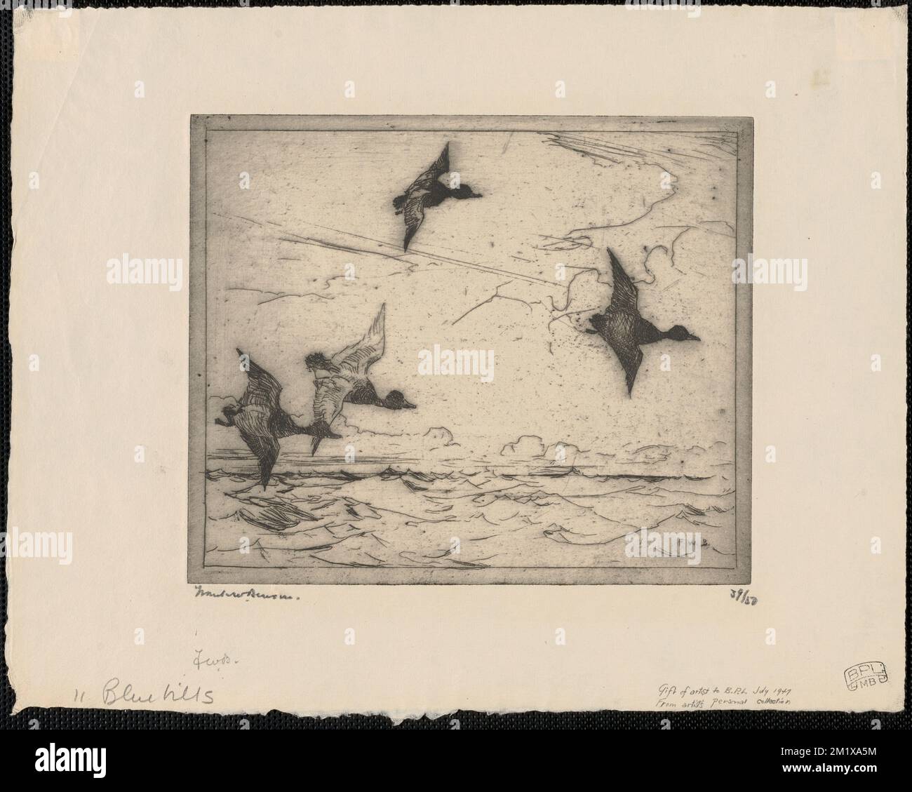 Blue bills , Ducks, Flying, Seas, Greater scaup. Frank W. Benson (1862 ...