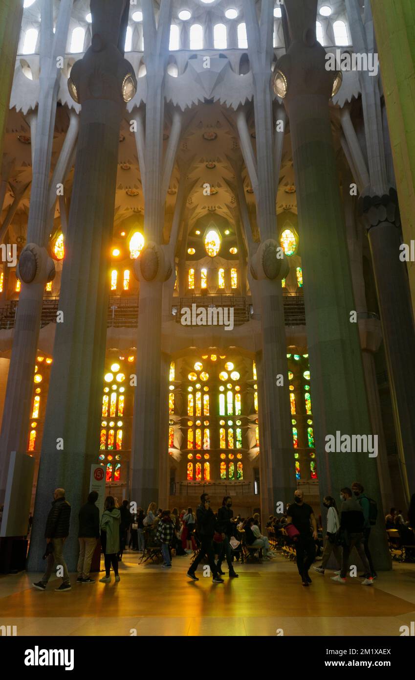 Intro shot hi-res stock photography and images - Alamy