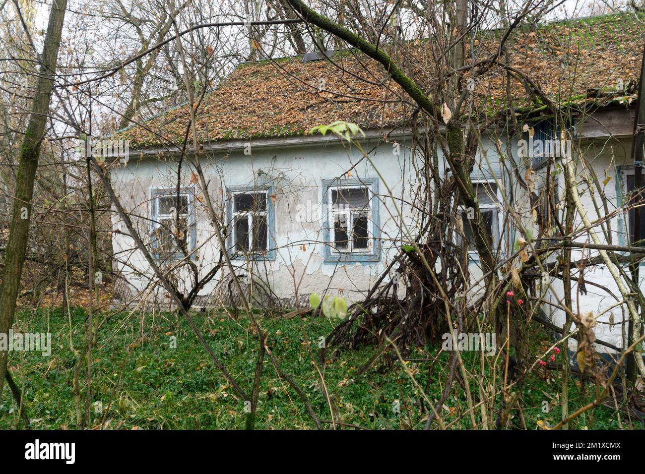 Abadonated white house with ceramic roof in middle of autum forest at ...