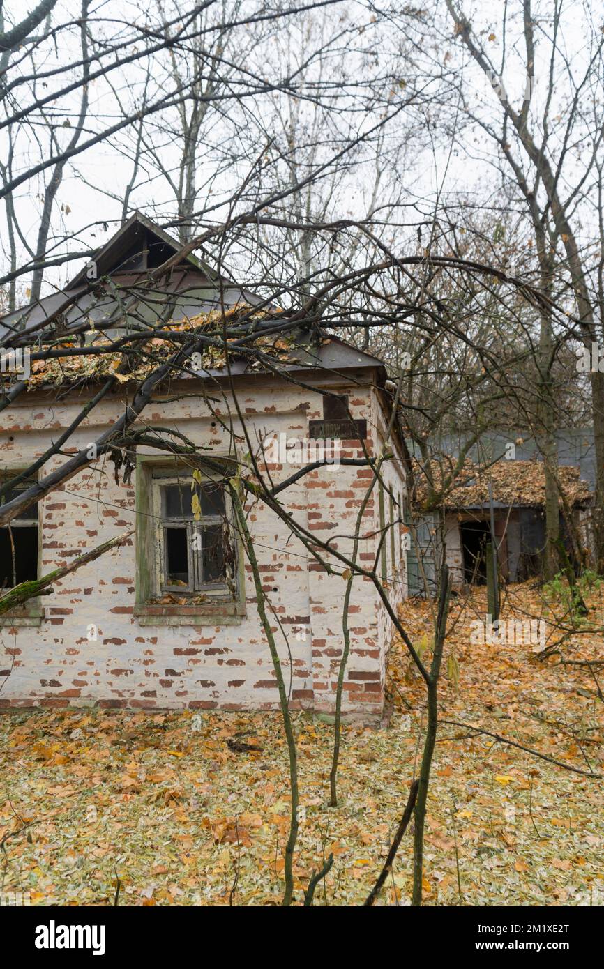 white abandoned house in middle of autumn forest at chernobyl ...