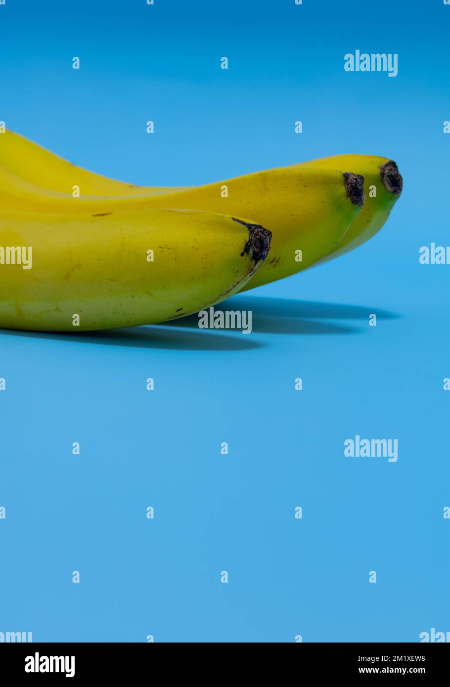A vertical shot of a banana bunch on a blue background Stock Photo - Alamy