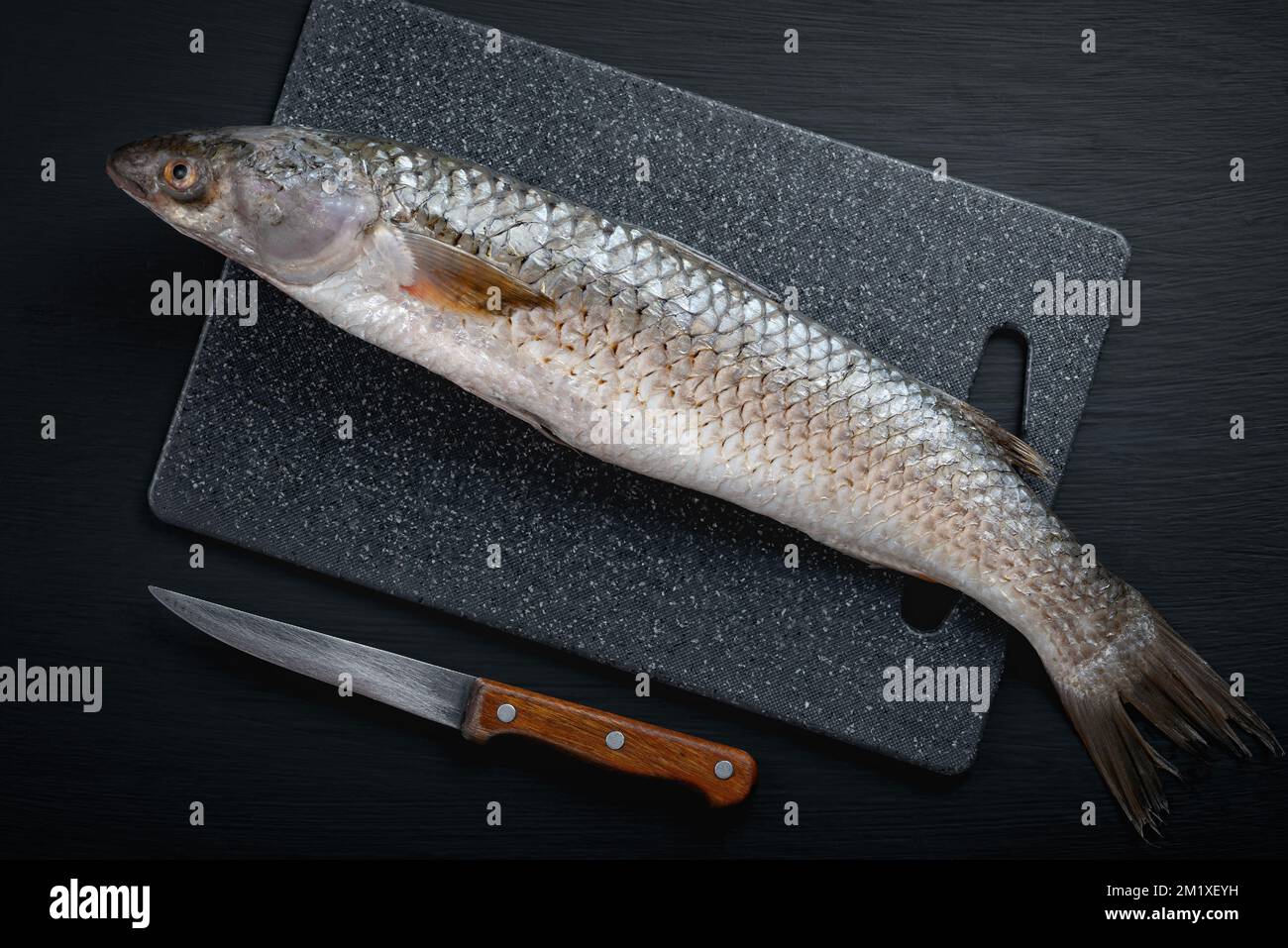 Fresh ready to cook raw mullet on a dark background. Top view Stock ...