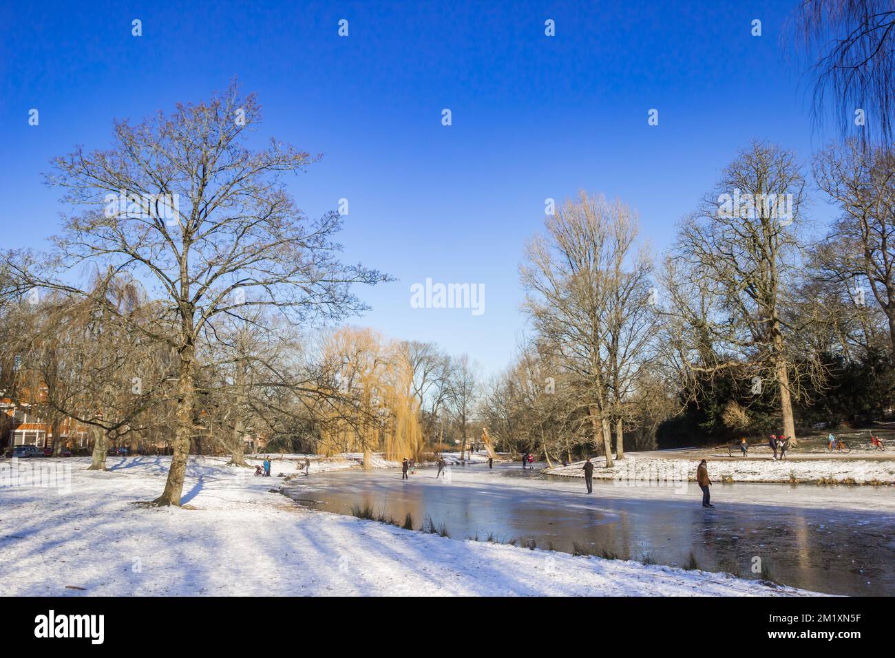 Skaters in the Noorderplantsoen park in Groningen, Netherlands Stock ...