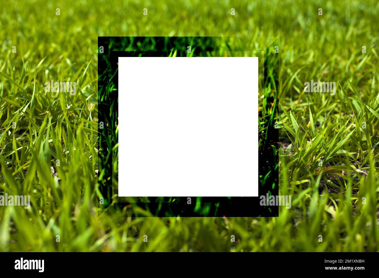 empty summer frame on green grass background, lawn with copy space 3d ...