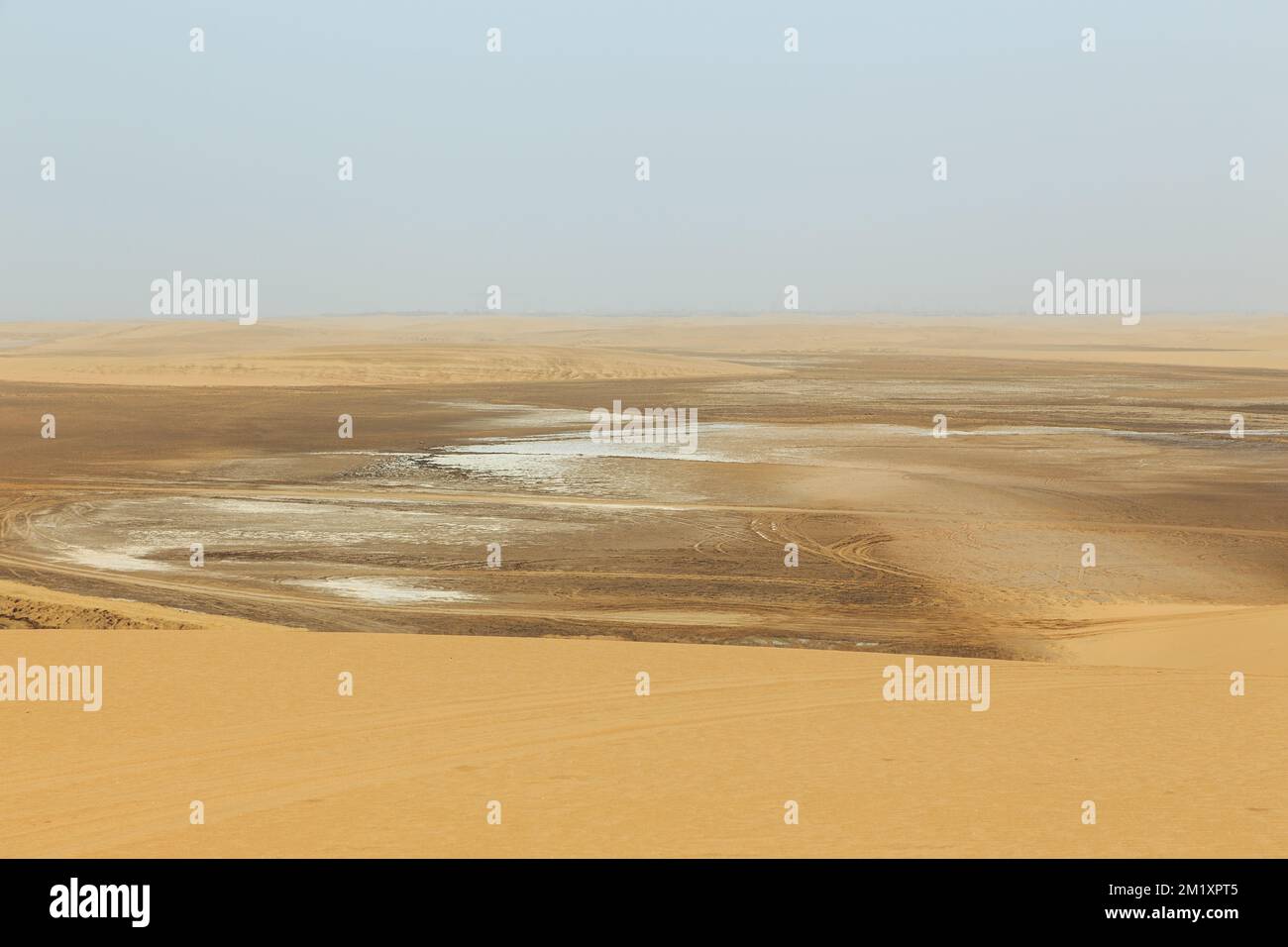 Walvis Bay Salt Holdings. The largest producer of solar sea salt in sub ...