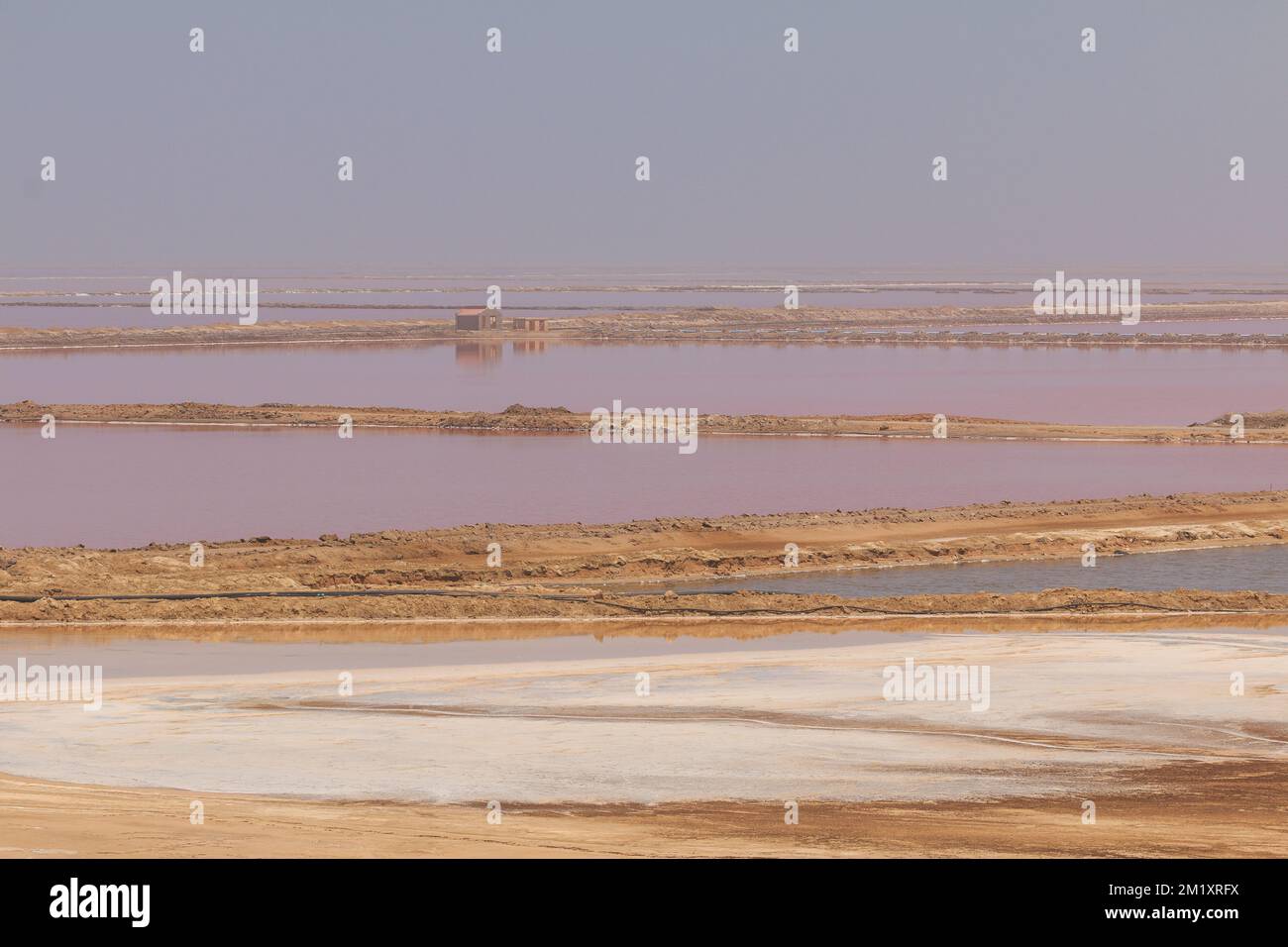 Walvis Bay Salt Holdings. The largest producer of solar sea salt in sub ...