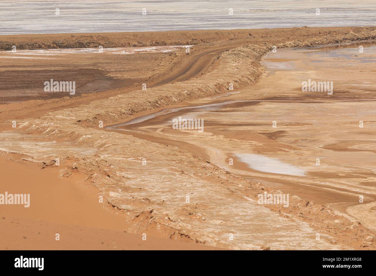 Walvis Bay Salt Holdings. The largest producer of solar sea salt in sub ...