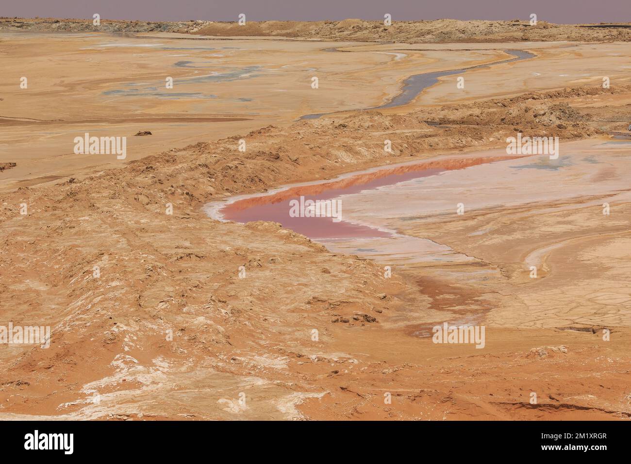 Walvis Bay Salt Holdings. The largest producer of solar sea salt in sub ...